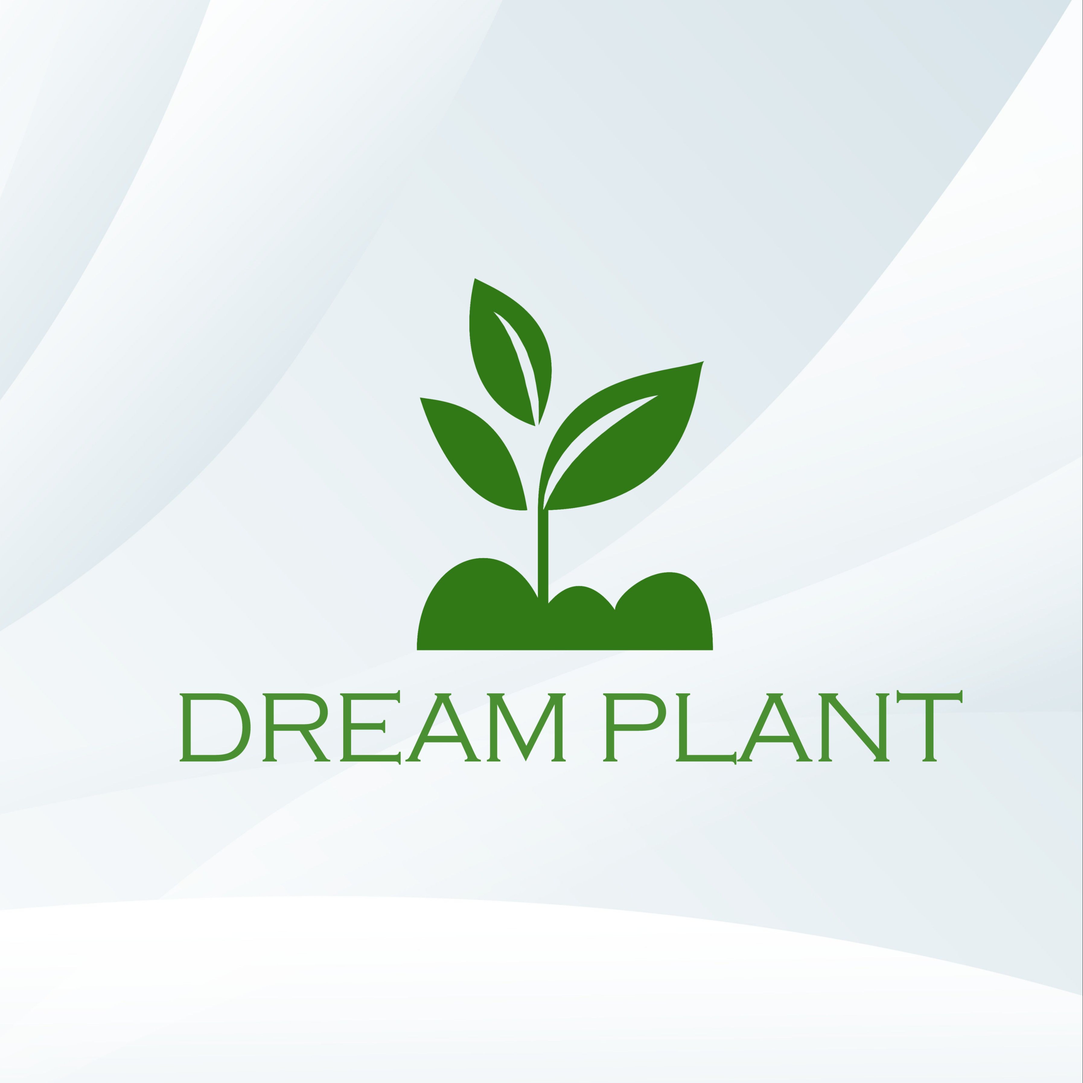 Shop online with Dream Plant now! Visit Dream Plant on Daraz.