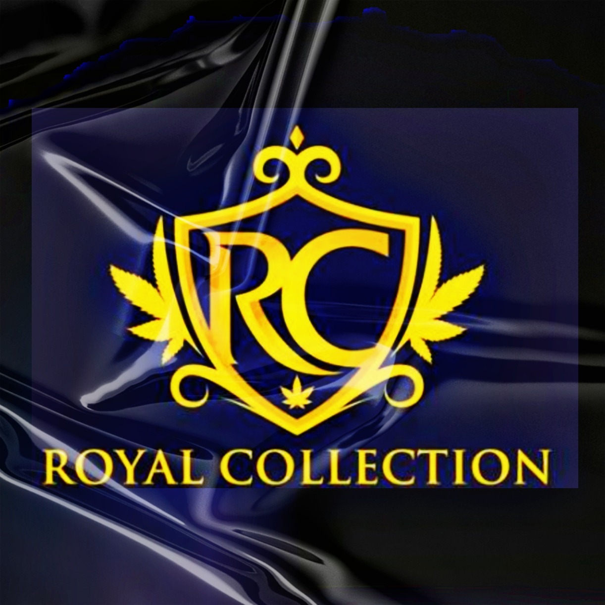 Shop online with Royal collection now! Visit Royal collection on Daraz.