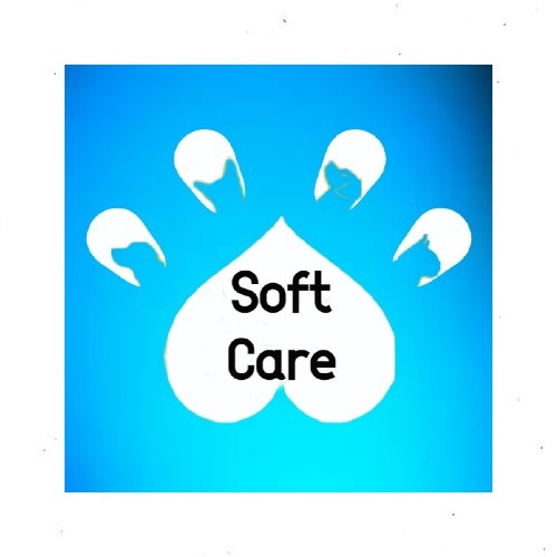 Shop online with Soft Care now! Visit Soft Care on Daraz.