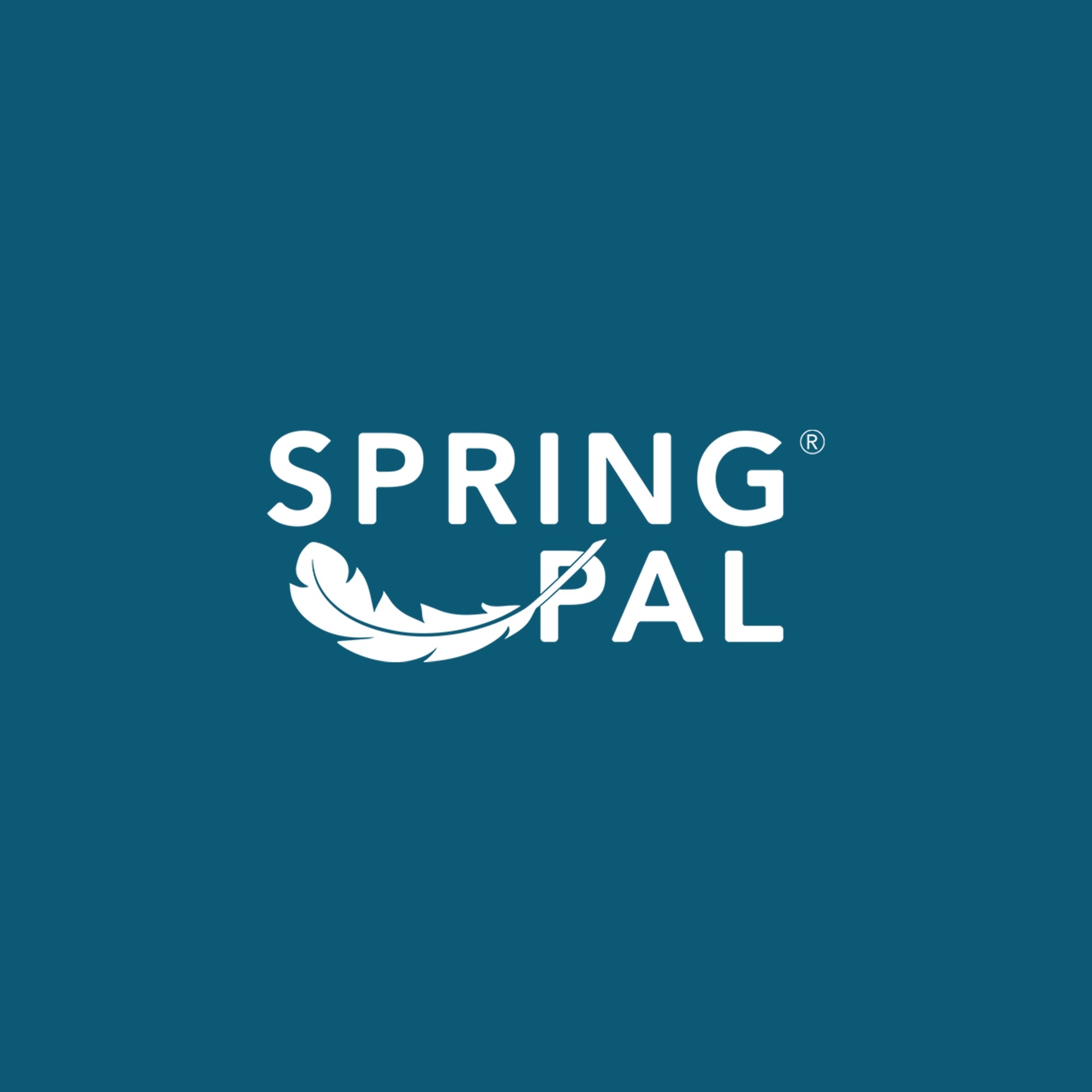 Shop online with Spring Pal now! Visit Spring Pal on Daraz.