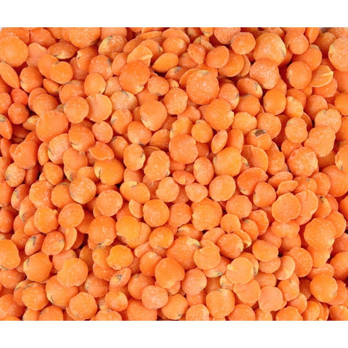 Mysore Dhal Red Lentil Dhal 250g මයිසුර් පරිප්පු மைசூர் பருப்பு | Daraz.lk