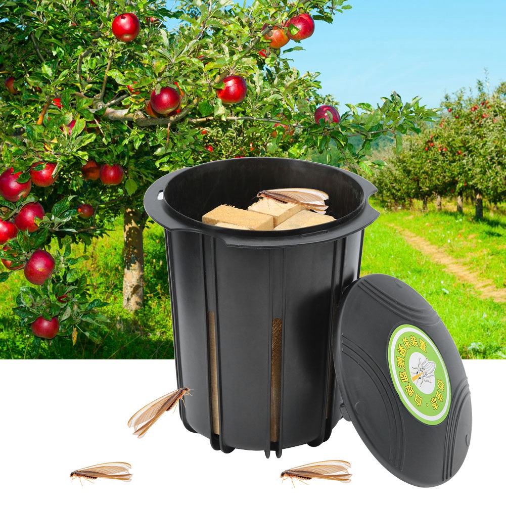 Effective Outdoor Termite Killer MultiFunctional White Ant Trapper ...