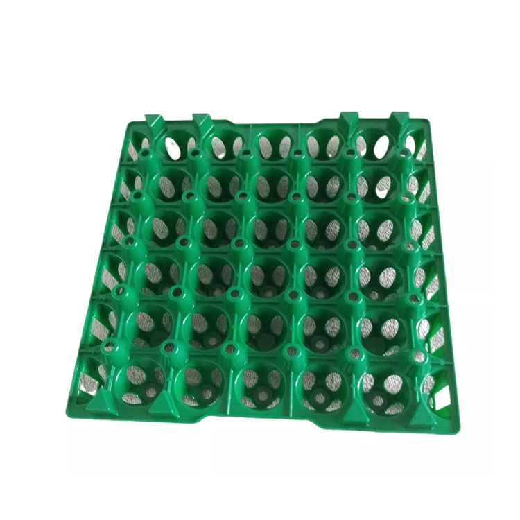 30Pcs Plastic Egg Tray | Daraz.lk