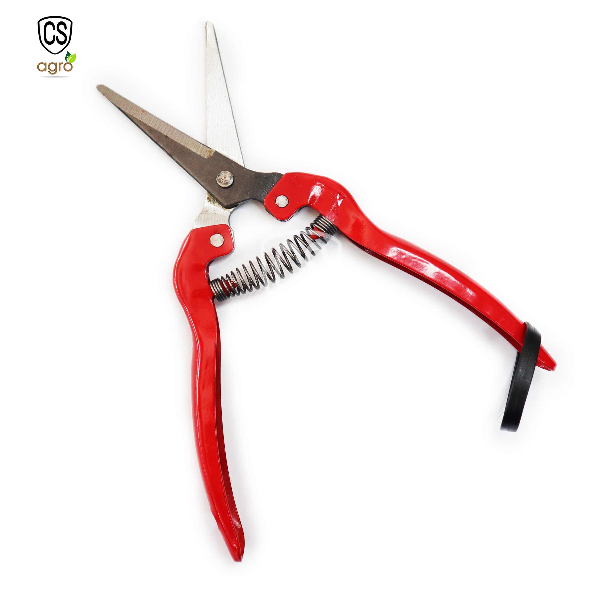 Garden Fruit Tree Branch Cutting Pruning Scissors Tool 20cm | Daraz.lk