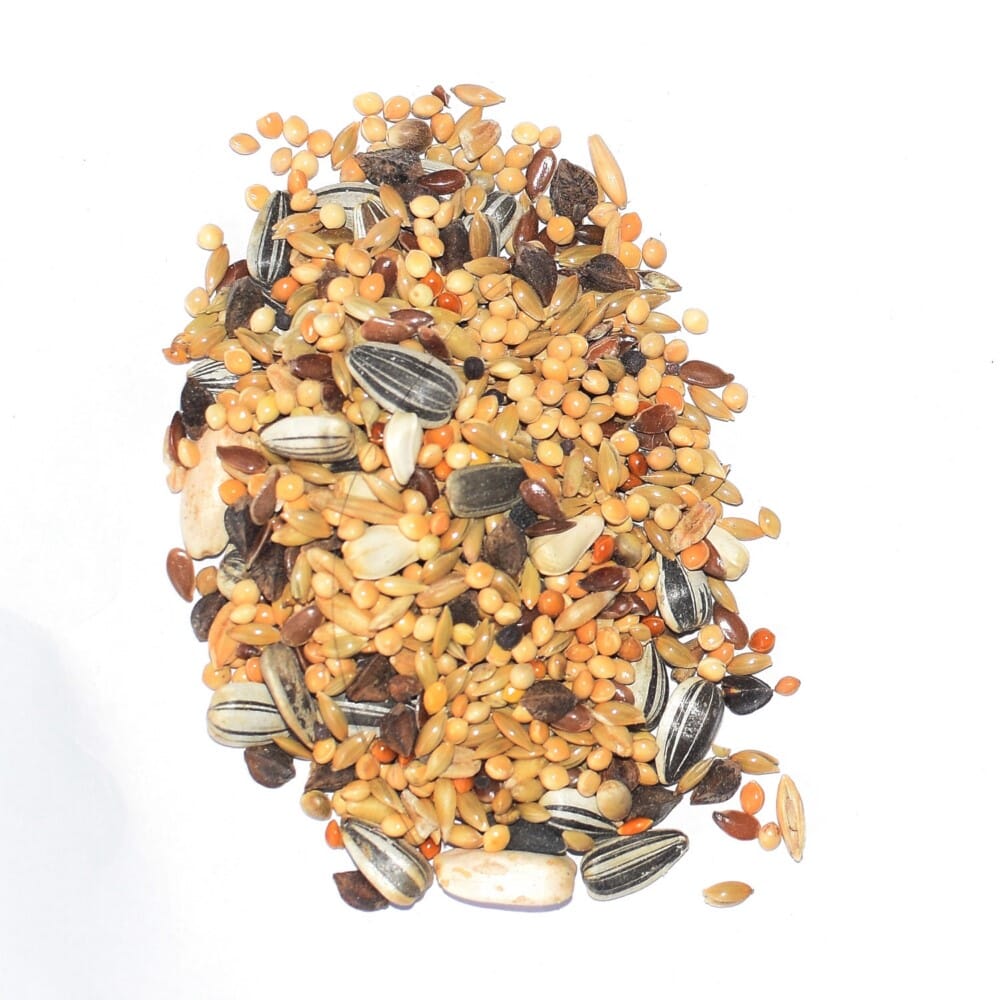 Pet For You Bird Food Of Parrot Mix Bird Food 10kg | Daraz.lk
