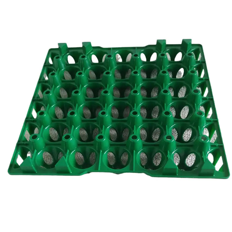 30Pcs Plastic Egg Tray | Daraz.lk