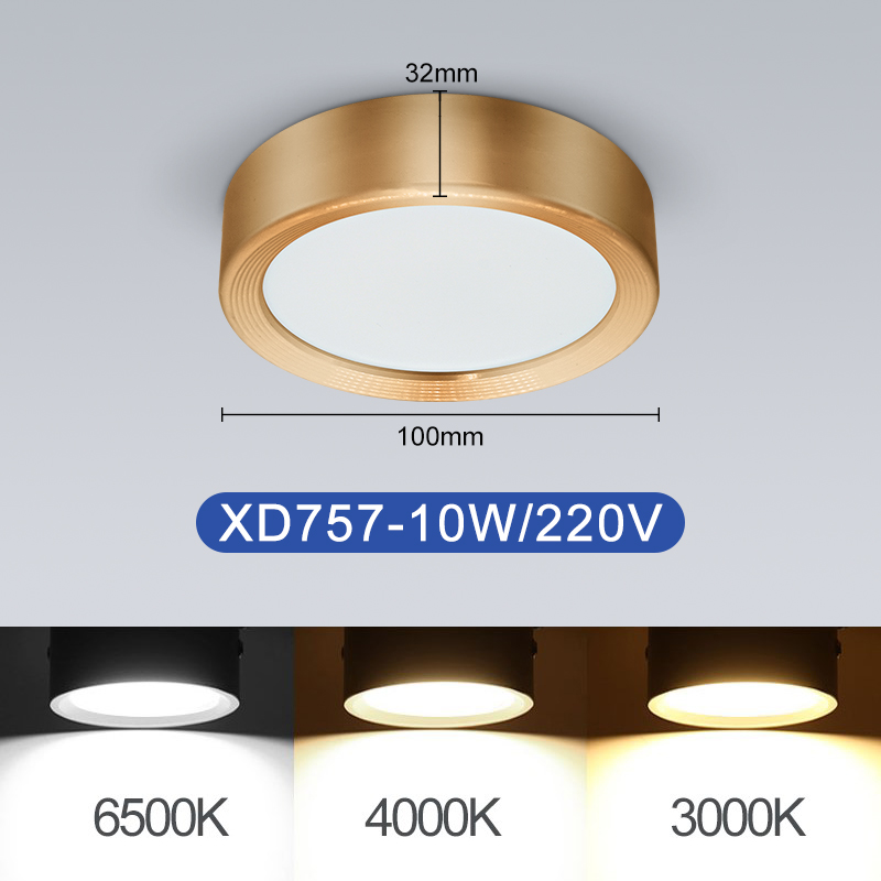 Modern LED Ceiling Lamps 220V Led Ceiling Light 15W 10W Spot Led Home ...