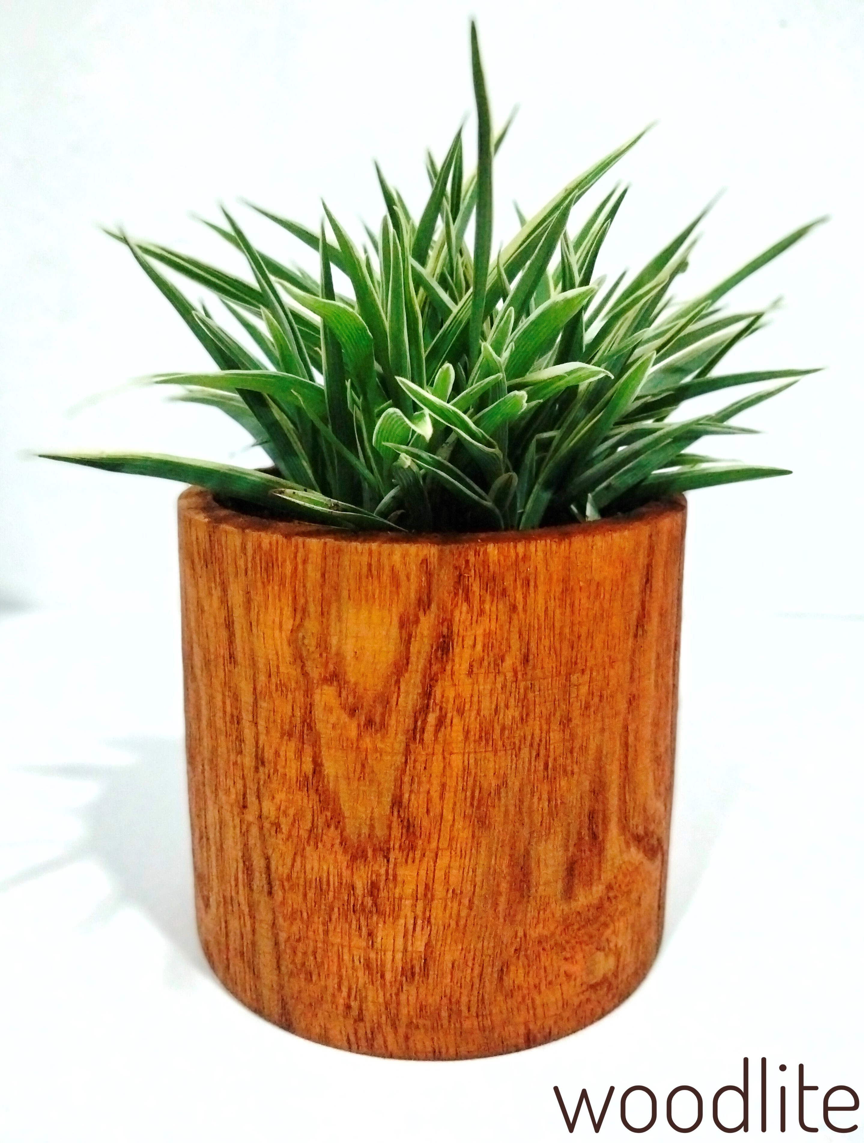 wood indoor plant pot, 3 in 1 (Wood Planter. house warming gift, home ...