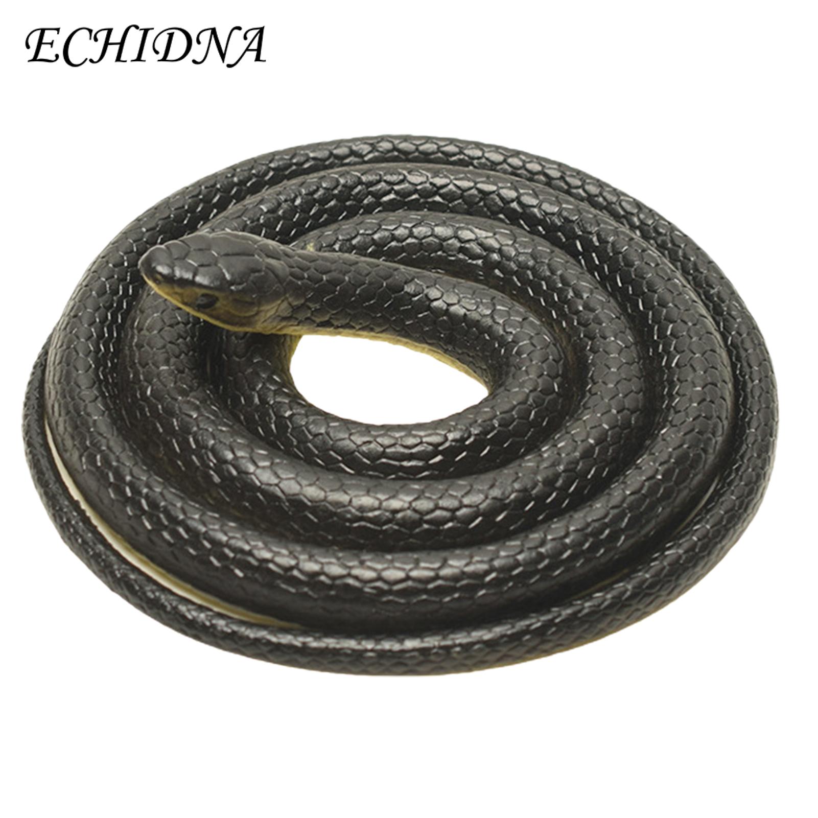 ECHIDNA Simulation Snake Funny Simulation Snake Model April Fool's Day ...