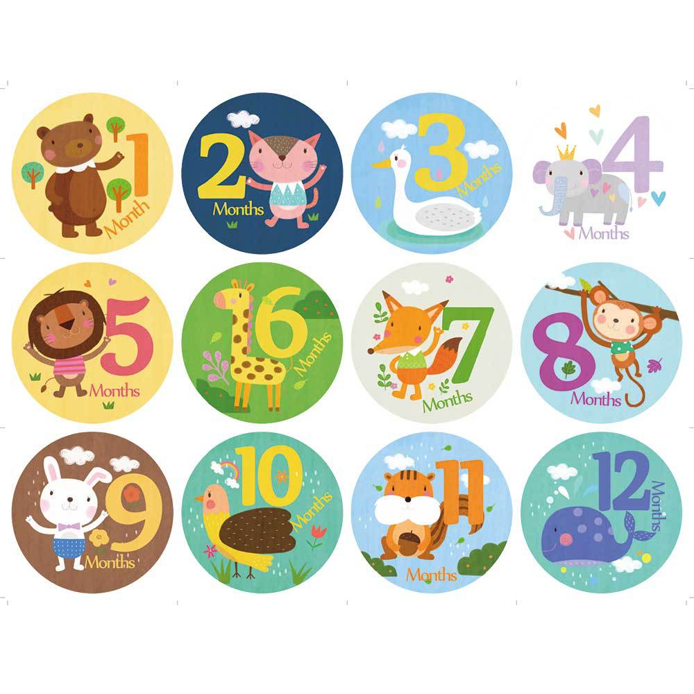 12 Pcs Month Sticker Baby Photography Milestone Memorial Monthly ...