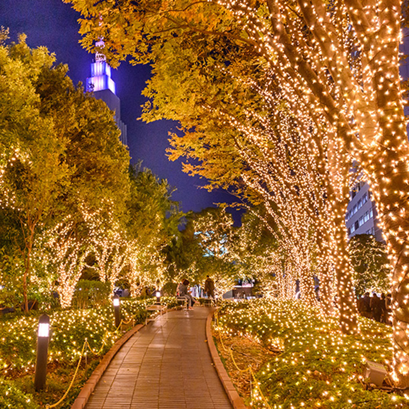 2/3/5/10M LED Strip Light Room Decor USB Copper Wire Decorative LED ...