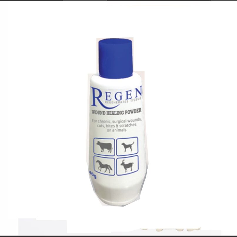 Regen Dusting Powder 40g | Daraz.lk