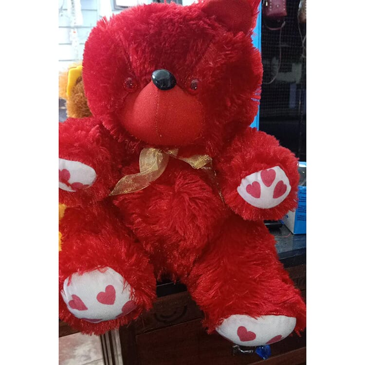 Teddy Bear | Teddy (Medium Size) | Daraz.lk