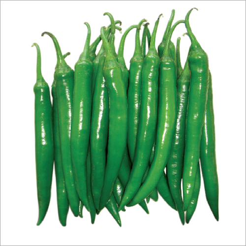 Chilli, Amu Miris F1 Hybrid, Onesh Ajax MICH1 25 Seeds Pack | Daraz.lk