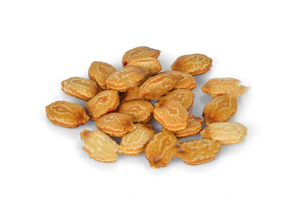 Bitter Ground M.C.43 Seeds, Karavila Beeja, 3g Home Gardening ...