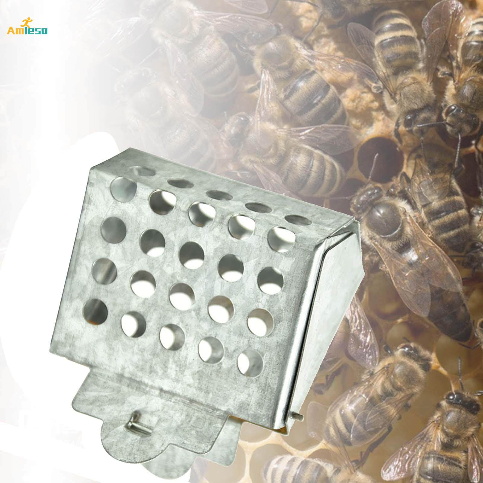 Bee Queen Catcher Clip Stainless Steel Clamp Beekeeper Apiculture ...