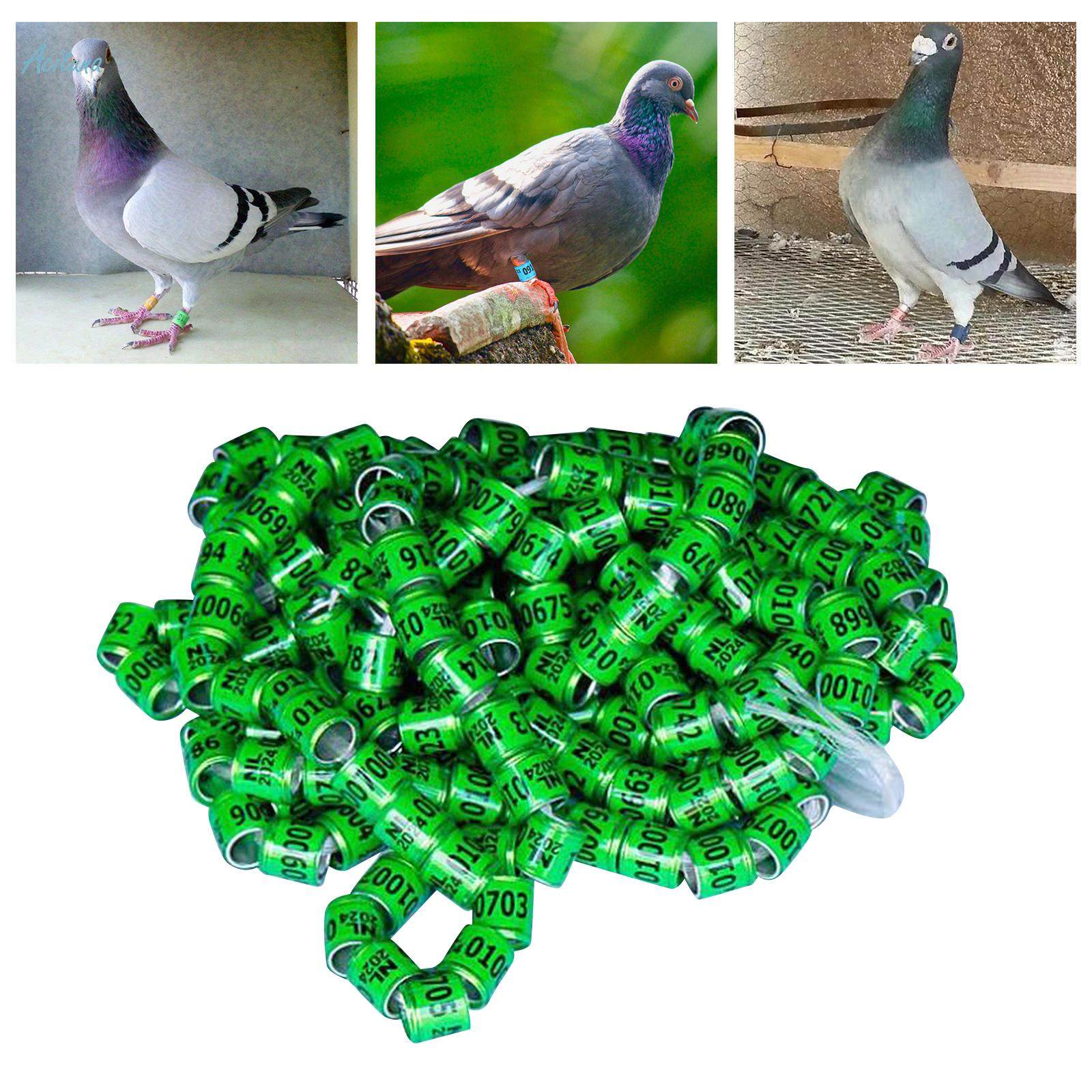 100 Pieces Pigeon Dove Leg Rings 2024 Identify Bands Sturdy Birds Foot ...