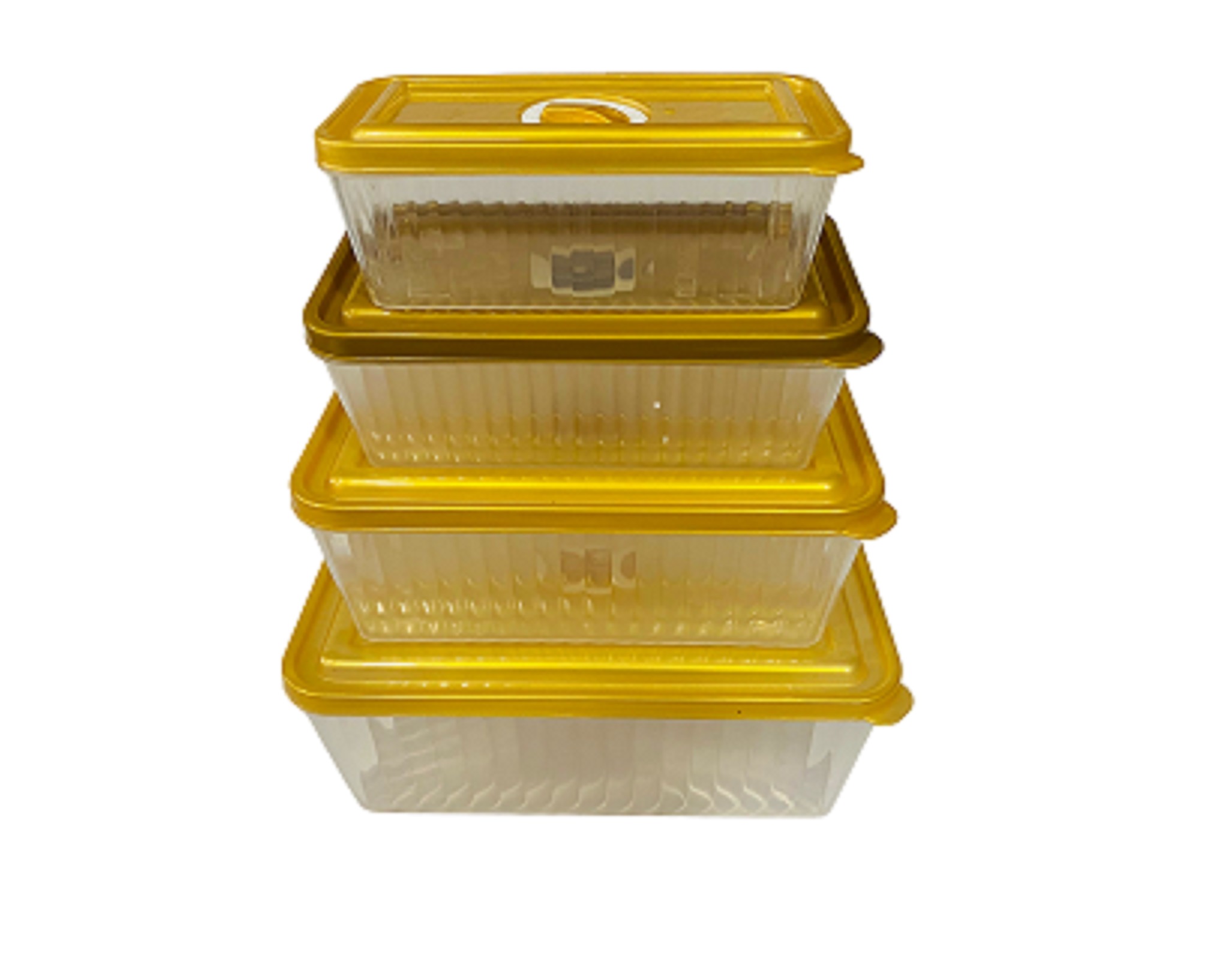 4 Pieces different sizes Transparent Plastic Food Containers Set ...