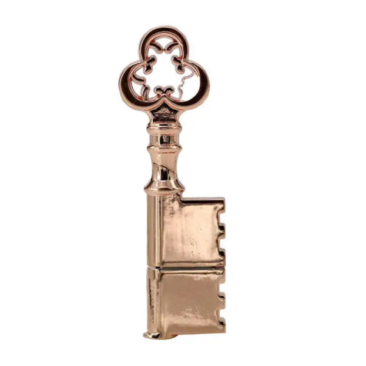 Skeleton Key Usb Drive
