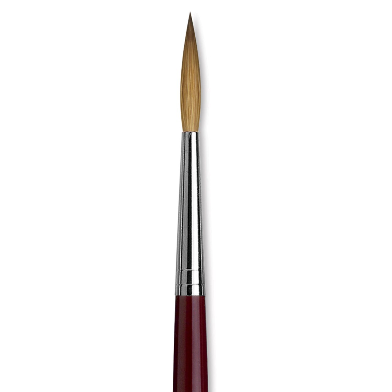 Apple Paint Brush | Daraz.lk: Buy Online at Best Prices in Srilanka ...