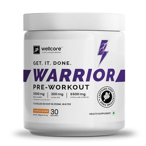 Wellcore-Warrior Pre Workout Supplement Powder(390G, 30 Servings ...