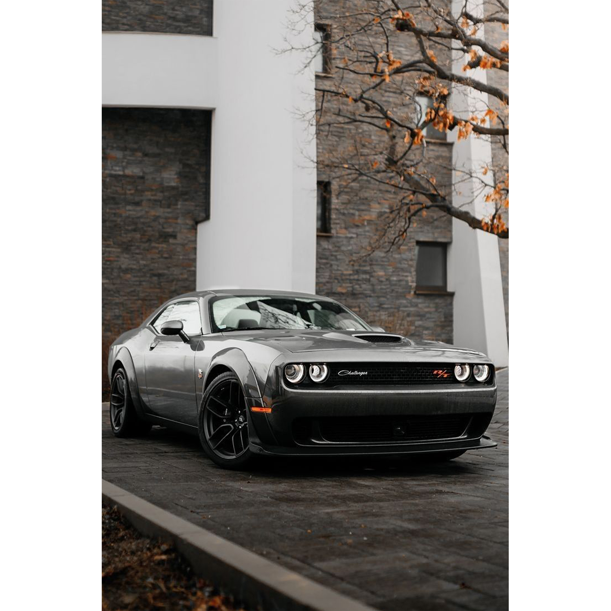 Car Wall Poster / size 18x12 inches / Frame Optional / Printed ...