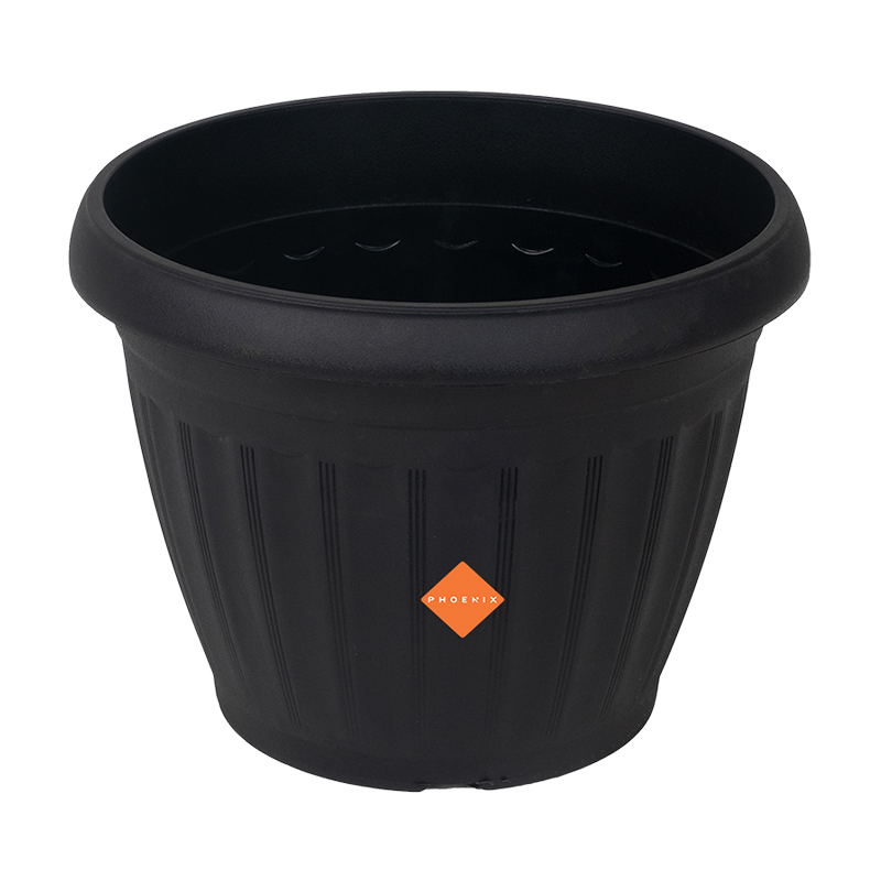 Phoenix Flower Pot Rose | Daraz.lk