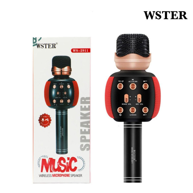 WSTER WS-2911 Wireless Karaoke Microphone with Speaker | Daraz.lk