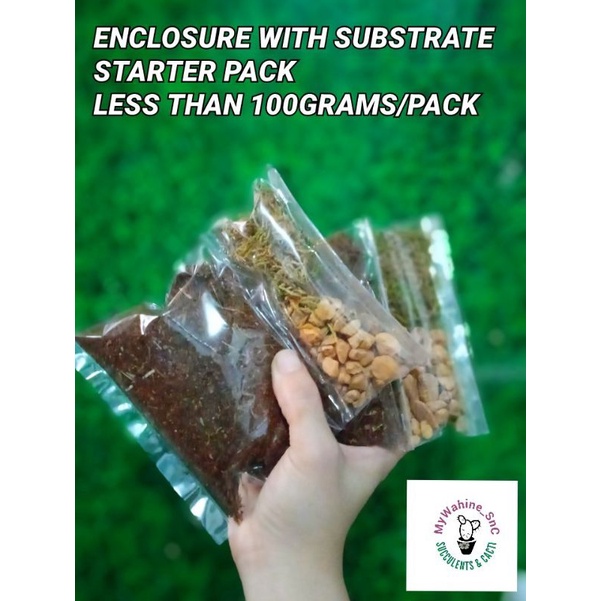 ENCLOSURE PET REPTILE TARANTULA PET PLASTIC TRANSPARENT KEEPER | Daraz.lk