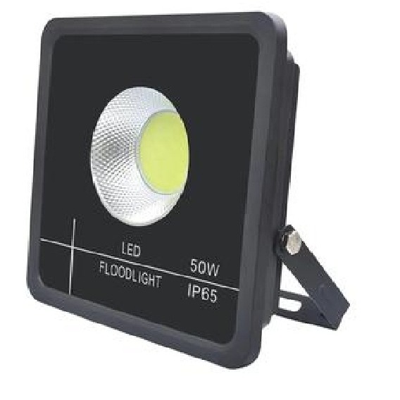 IP66 COB 50W Full Power LED Project Lamp Light Highlight for Park ...