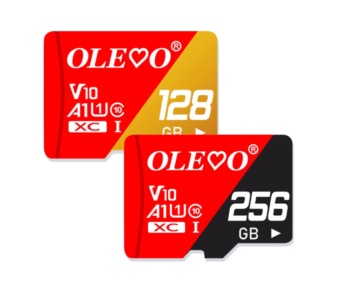 Memory Card 256GB Mini SD 256GB 128GB High Speed Flash TF SD Card 256 ...