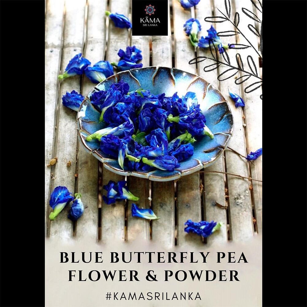 Kama Blue Butterfly Pea Flower Powder / Nil Katarolu Mal Powder - 50G ...
