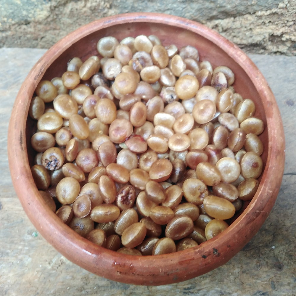 INGINEE SEED | Daraz.lk: Buy Online at Best Prices in Srilanka | Daraz.lk