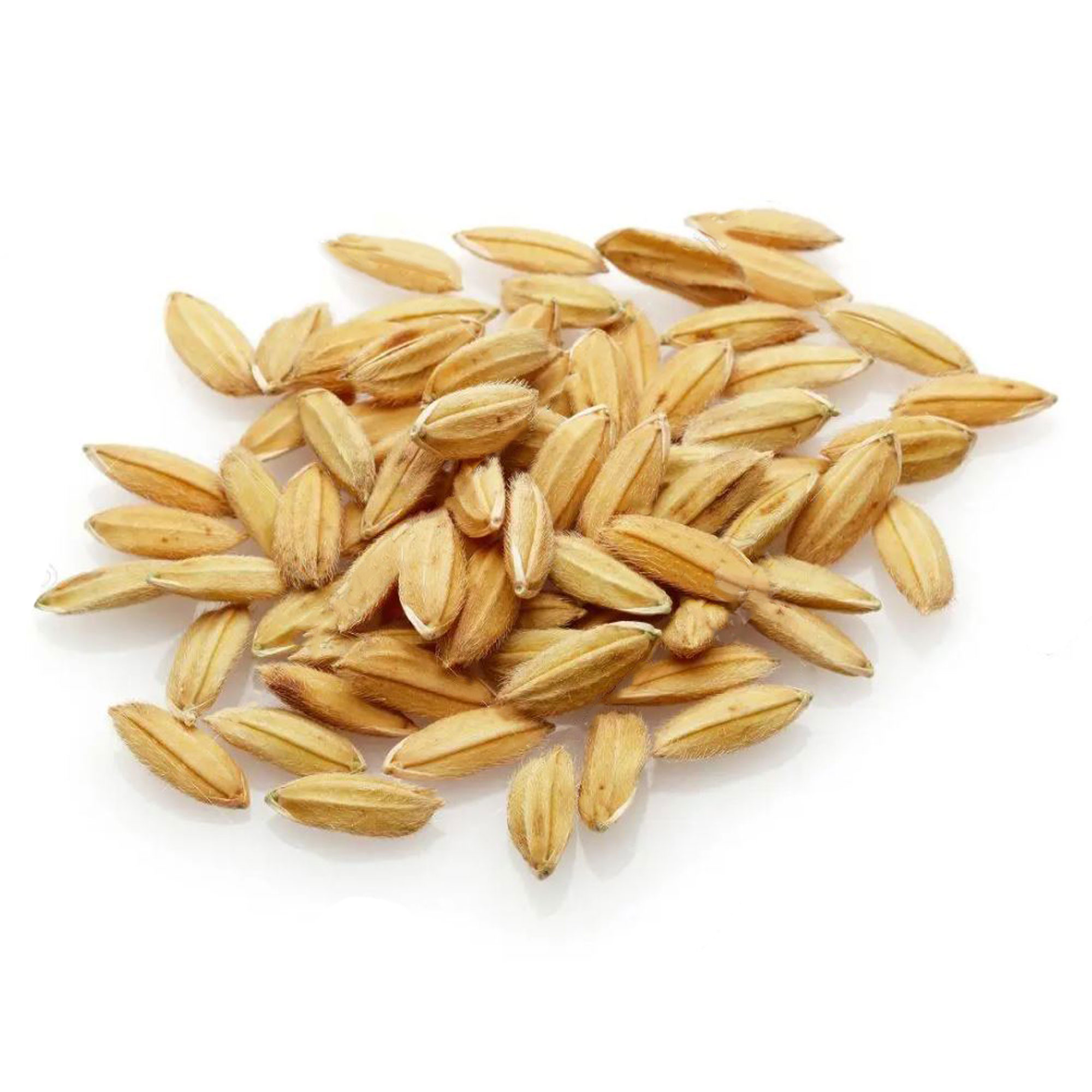 Cic Agriculture Bg 367 Paddy Rice Seeds Bithara Wee 1Kg/5Kg බිත්තර වී ...