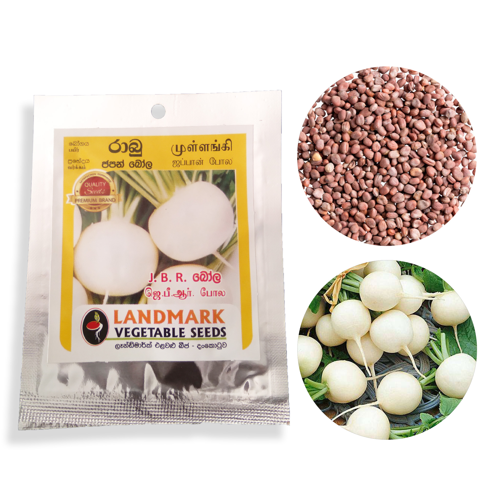 Radish Seeds, Raabu Japan Bola Beeja, 2g | Daraz.lk