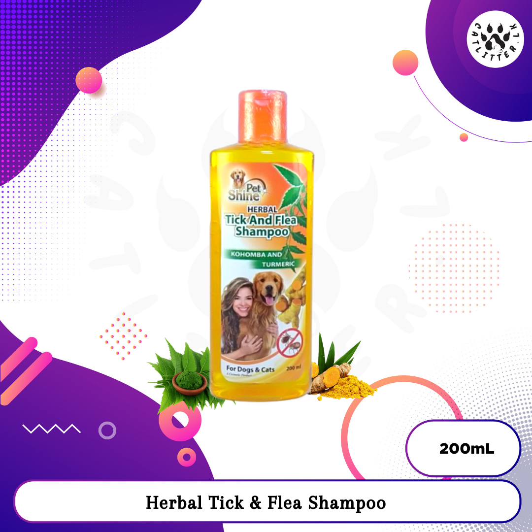 Pet Shine Herbal Tick & Flea Shampoo (Kohomba & Turmeric) for Cats ...