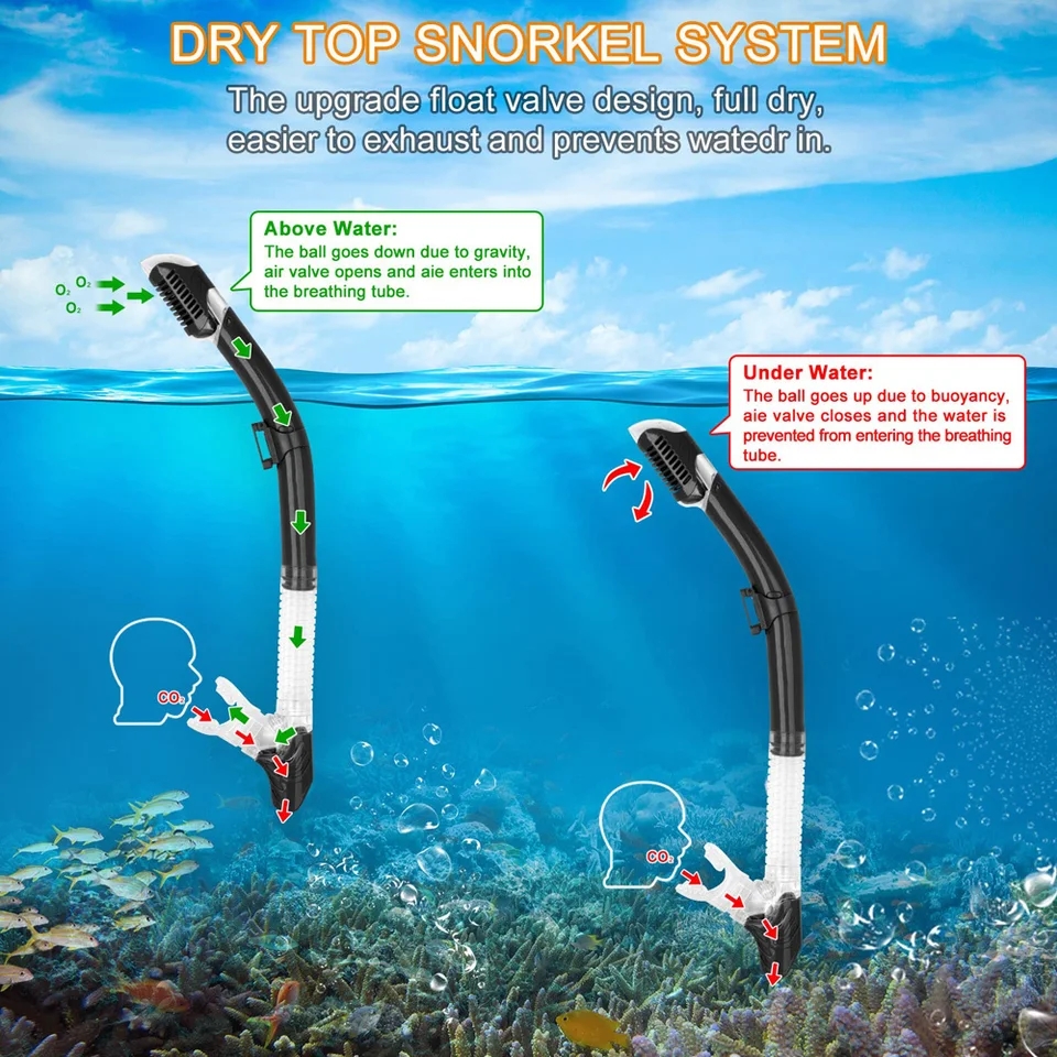 Professional Snorkelling Snorkel Anti-Fog Glasses Set Half Dry ...