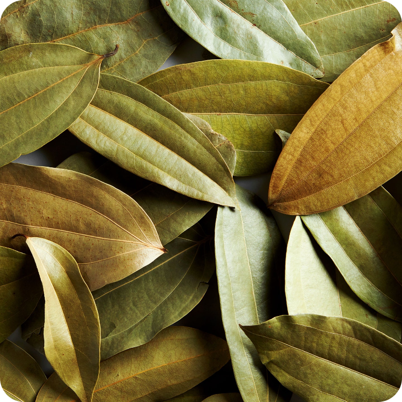 Dry Cinnamon leaves / CEYLON BAY LEAVES. 100% Natural herbs spice ...