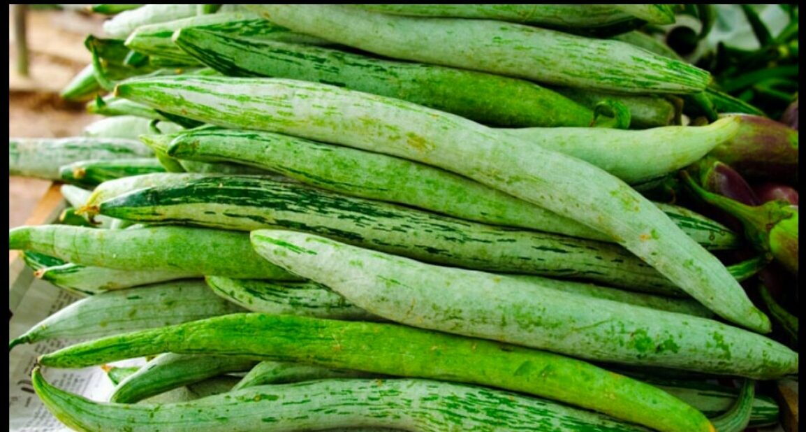 Pathola Seeds For Home Garden | Daraz.lk