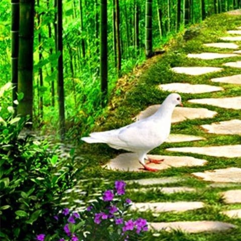 Children Beginners Number Writing Book Pen Shun Calligraphy Practice ...