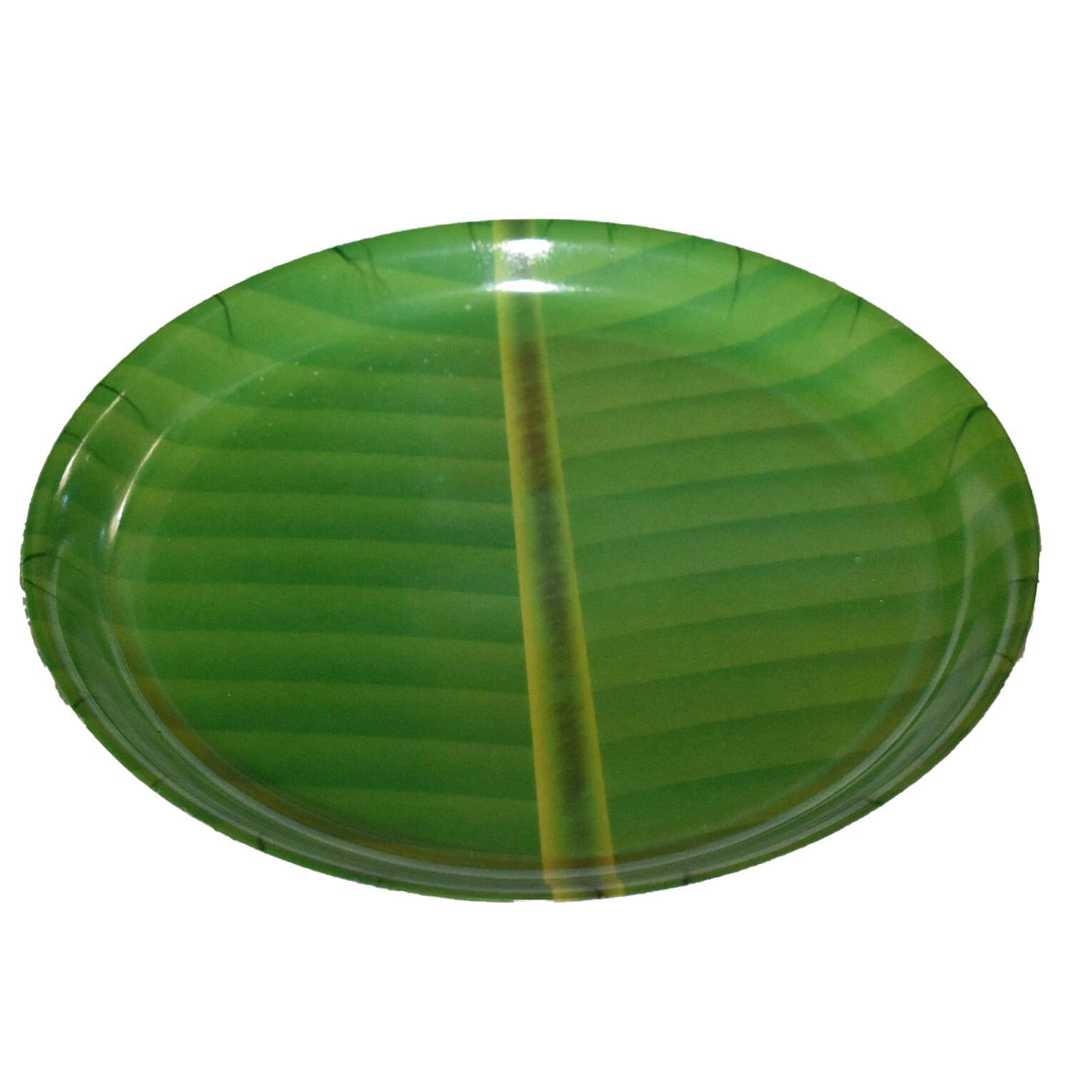 Plastic Lunch Plate For Food Table | Daraz.lk