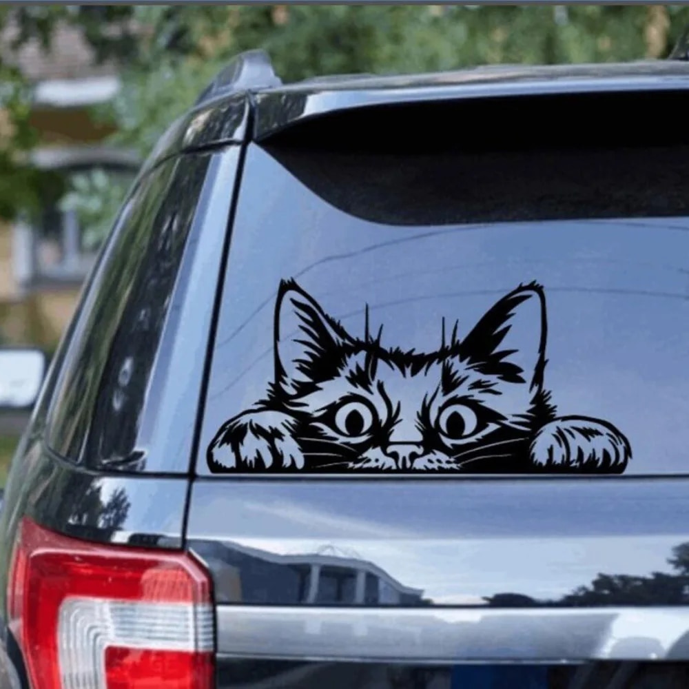 Leyland Designs Patches Kitten Sticker Outdoor Rated Vinyl Sticker ...