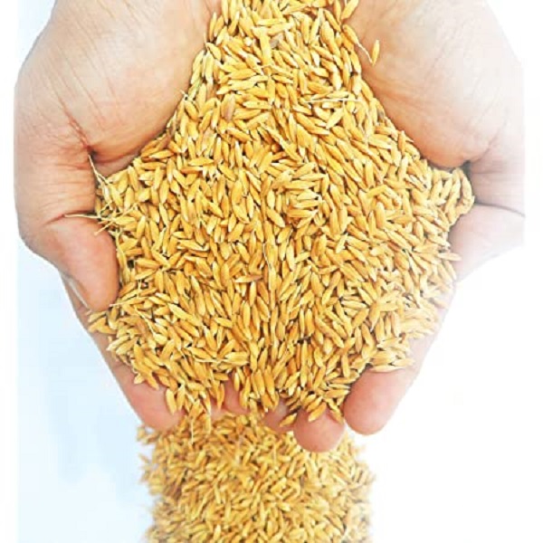 Paddy Feed 1kg | Daraz.lk: Buy Online at Best Prices in Srilanka | Daraz.lk