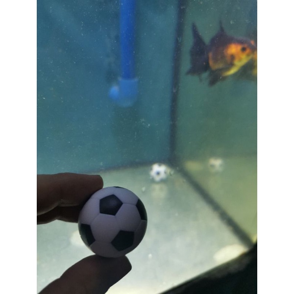Goldfish Soccer Ball | Daraz.lk