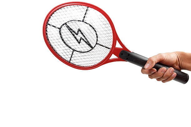 Electronic Rechargeable Mosquito Bat Racket | Daraz.lk