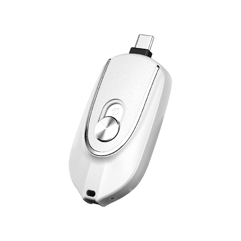 1200mAh Mini Power Emergency Pod 2 in 1, Keychain Portable Charger for ...