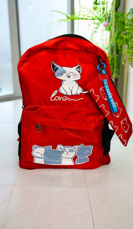 Hello Kitty Class Bag / MOOW Stylish Double Shoulder Backpack/ School ...