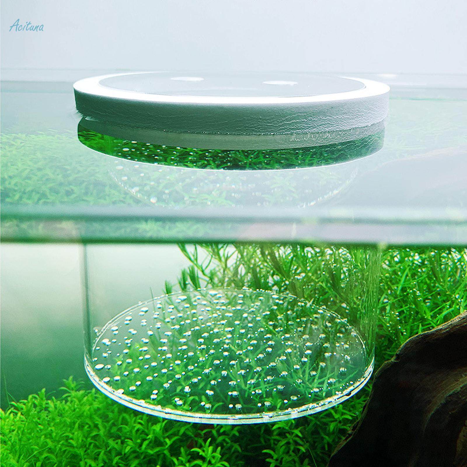 Breeding Box for Guppy , Baby Fishes , Egg 8cmx10cm | Daraz.lk