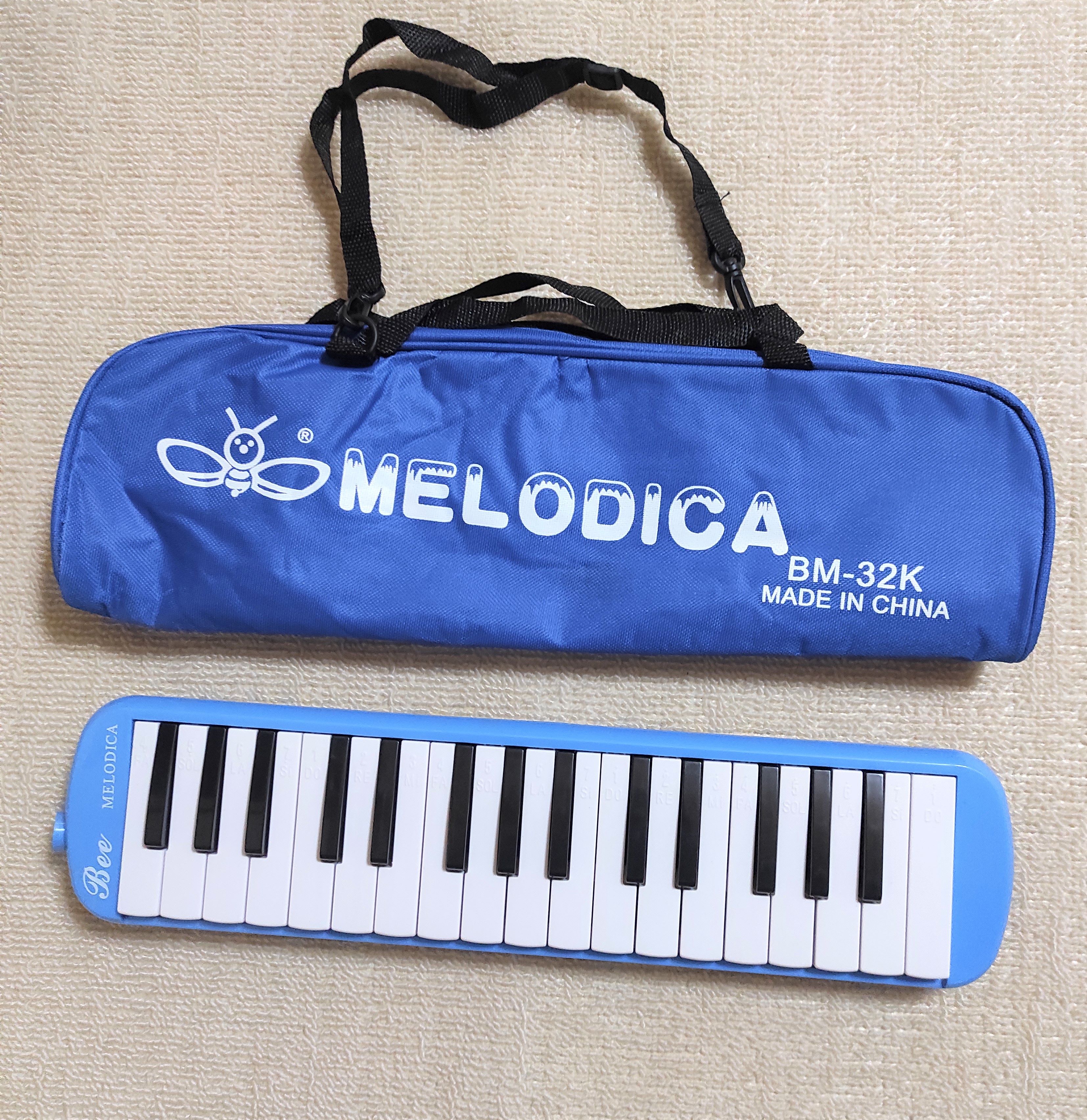Bee 32 keys Melodica Keyboard with carry case | Daraz.lk