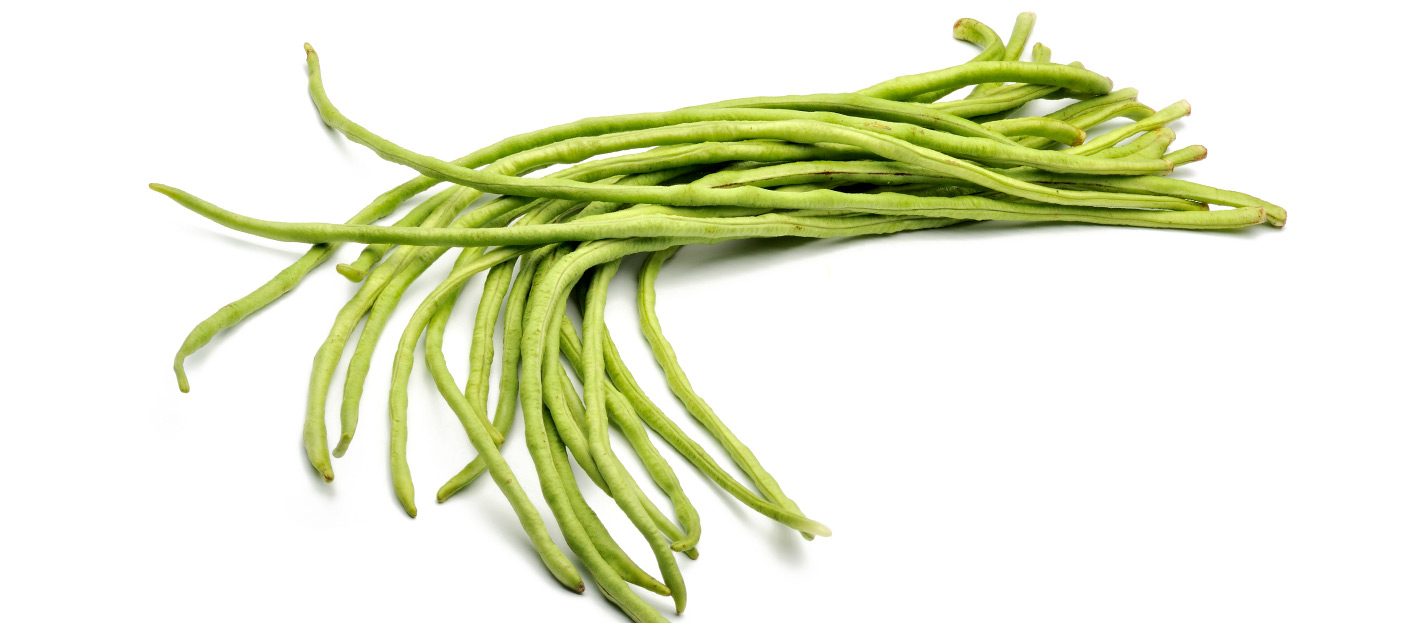 Long Bush Bean Seeds Paduru Mee Beeja Gardening Agriculture vegetable ...